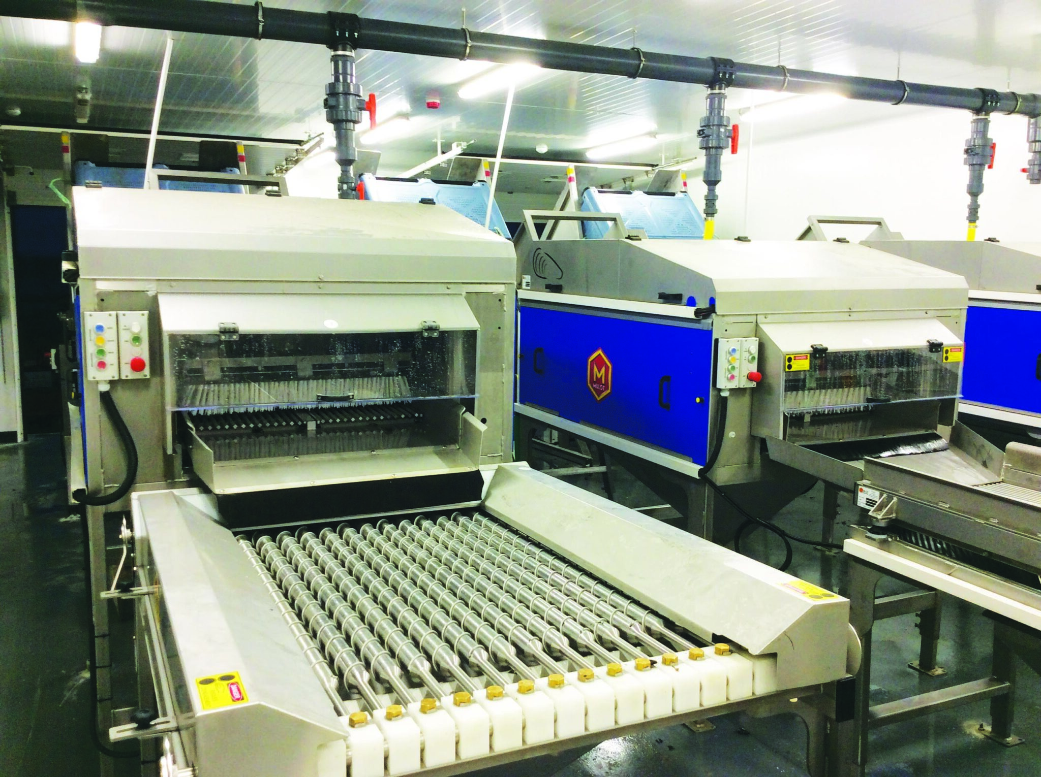 ROLLER GRADER FOR MUSSELS - Mulot Equipment
